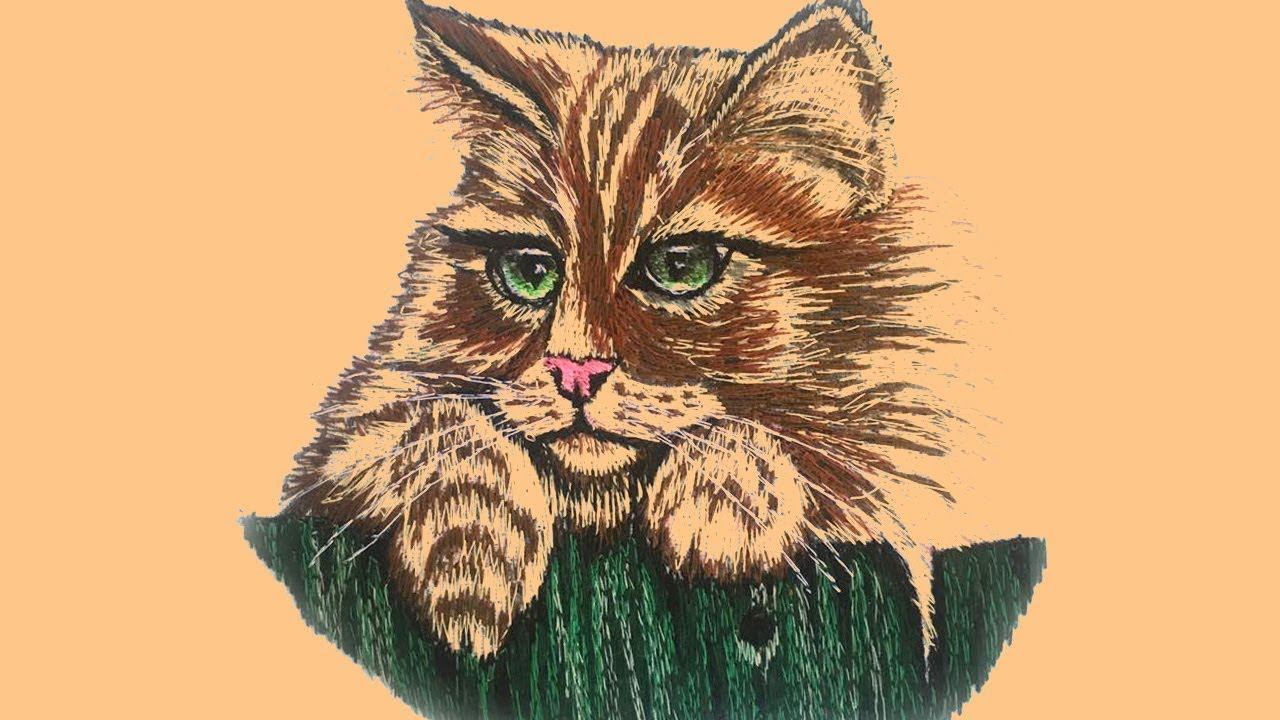 Вышивка гладью.  Портрет кошки