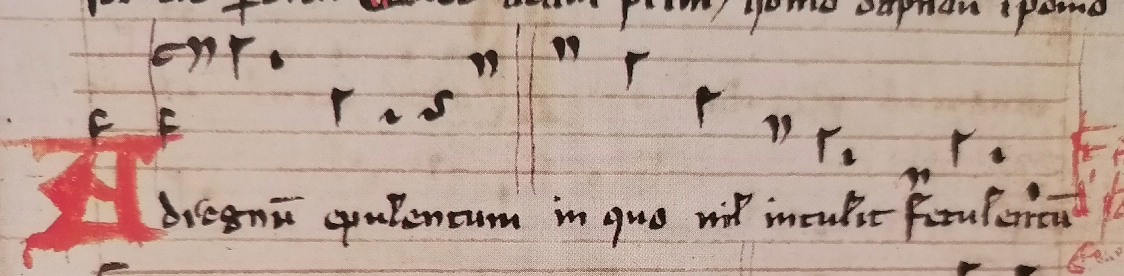 Ad regnum epulentum / Noster cetus