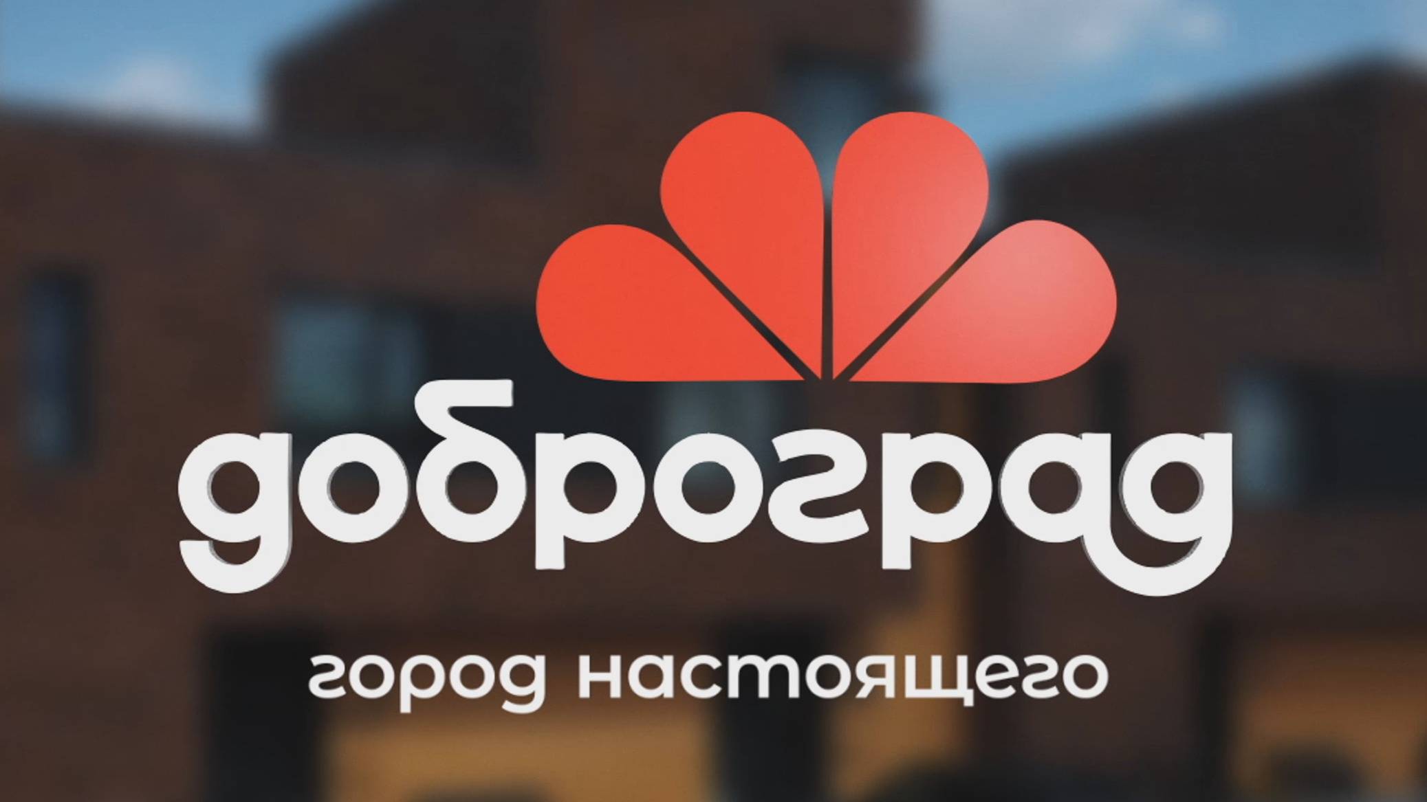 Переехали в Доброград!