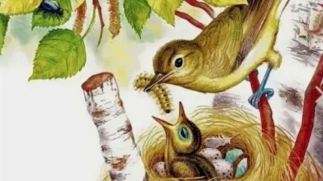 65. Аудиосказка.КУКУШОНОК