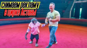 ГЛАВНЫЕ НОВОСТИ В АСТАНЕ | Снимаем рекламу с обезьяной шимпанзе в манеже цирка