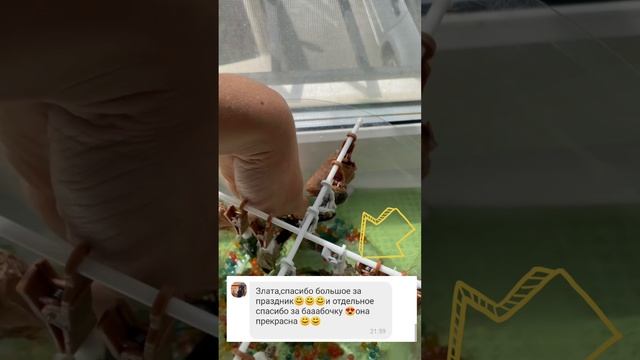 Отзывы тропические бабочки Челябинск