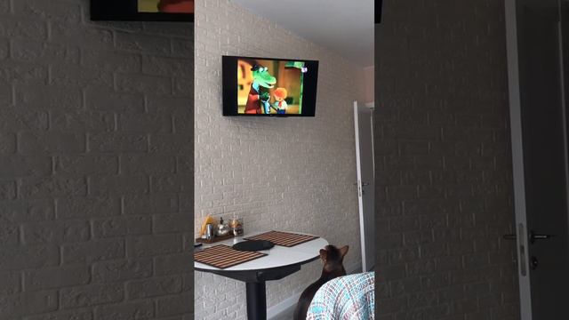 Любитель мультфильма про крокодила Гену и Чебурашку..)