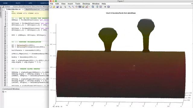 3D Dendritic Mesh Rendering using Python & Matlab – смотреть видео ...
