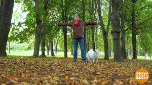 Долой осеннюю хандру! Доброе утро. Фрагмент выпуска от 02.10.2023