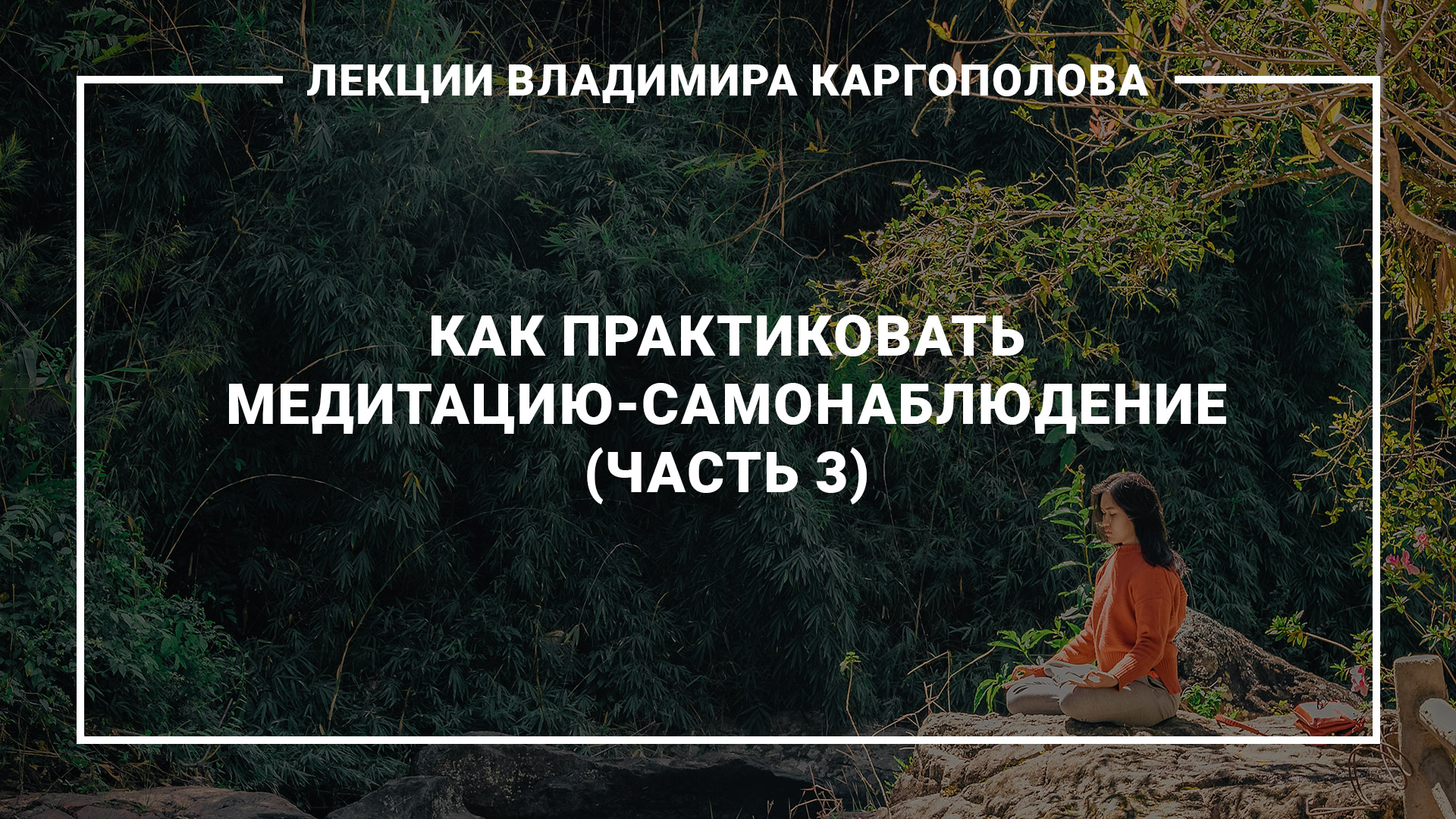 Лекции В. Каргополова. 8.1. Как практиковать медитацию-самонаблюдение (часть 3)