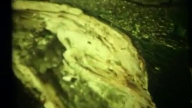 ЛенНаучФильм. Сера