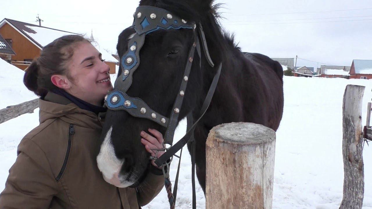 Лошадки и другие животные №6 https://youtu.be/x2iPy1hiiOM