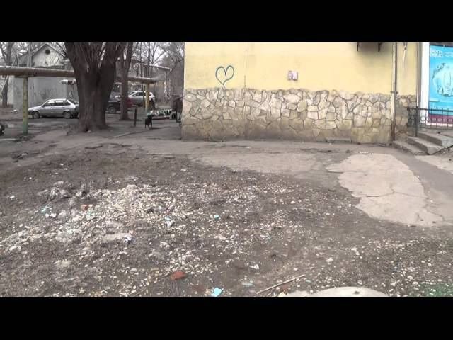 отпугиватель собак.