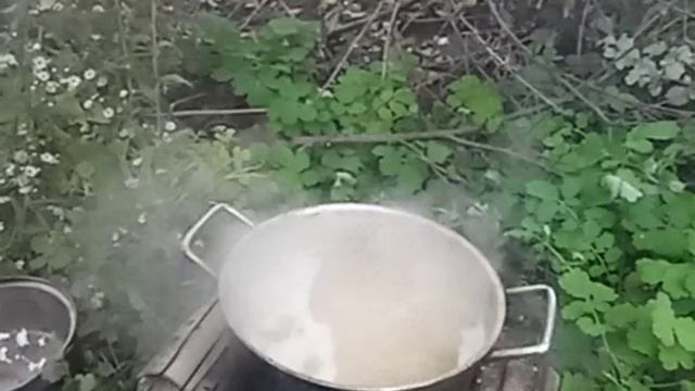 Как Красногоровцы выживали в городе (готовим еду на костре)