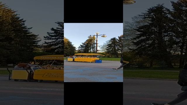 Парк на Крестовском острове , Диво остров