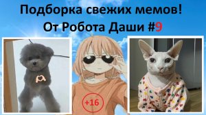 Юмор. Мемы. #9
