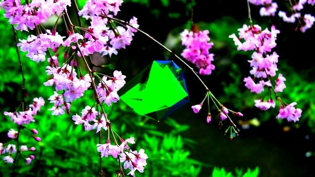 Торжество природы