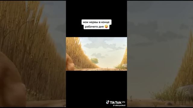 1000012319.mp4