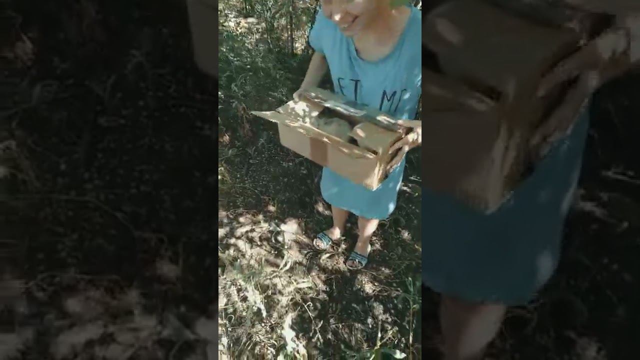 Нашли маленьких еле живых крольчат в лесу