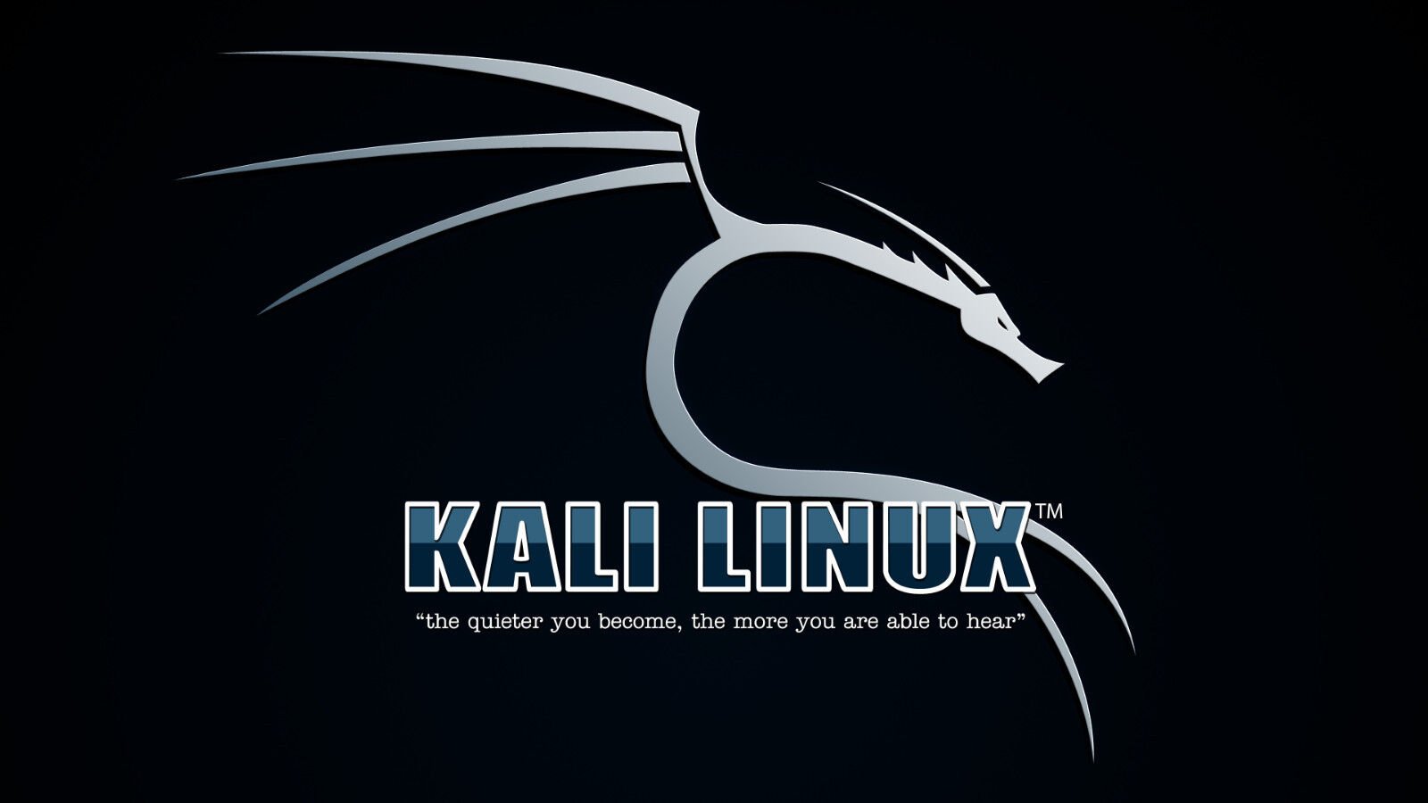 Урок 16 Терминал и команды (Kali Linux полный курс)