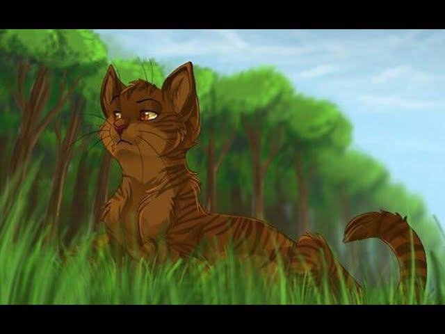 Коты Воители //SIAMÉS "The Wolf"//