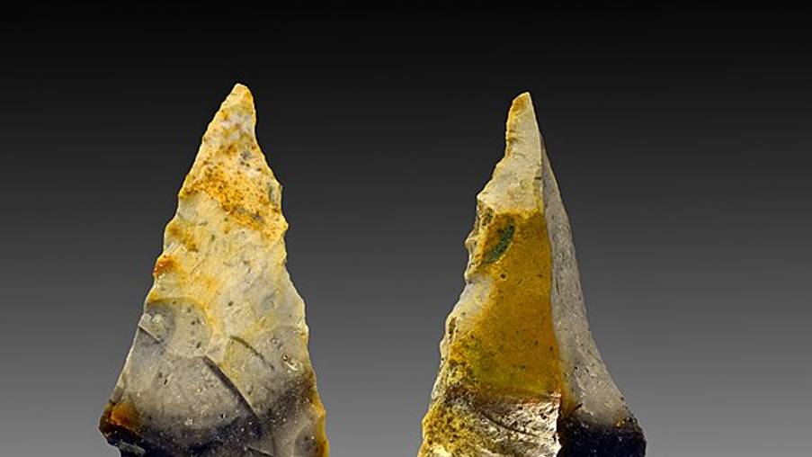 #29 Человечество в эпоху палеолита. Часть 2. Инопланетяне или соплеменники?