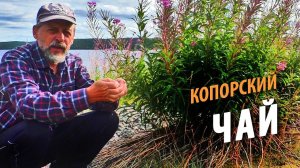 #13 Остров Борщовец | Делаю Копорский чай | Поход 2021