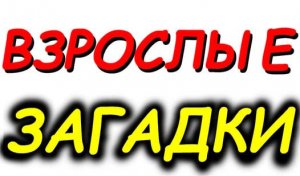 Игра Взрослые загадки