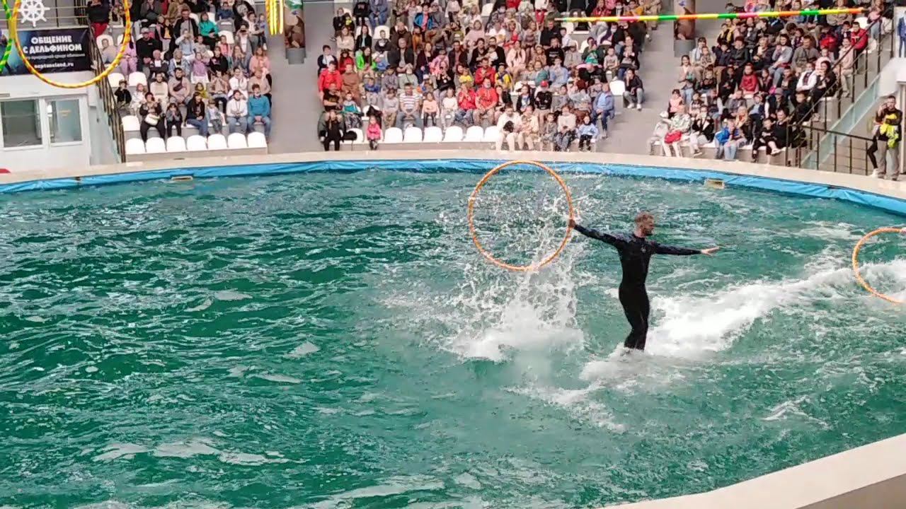 Трюки с дельфинамиДельфинарий в Евпатории