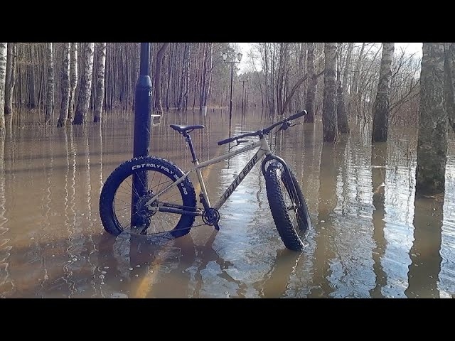 Катаюсь на фэте в затопленной сосновой роще