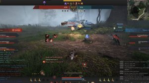 Black Desert Арена Солларе. Мэгу разозлилась.