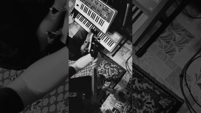DiamondNoise - Omniamare (кода)