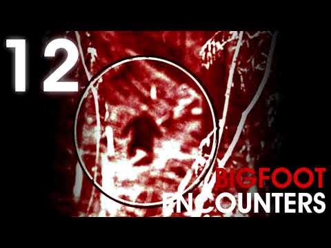 12 TRUE BIGFOOT ENCOUNTERS - LAKE DEWEY MONSTER (Bigfoot, Sasquatch) - What Lurks Beneath