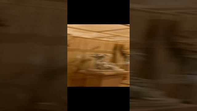 20220521_204237.mp4