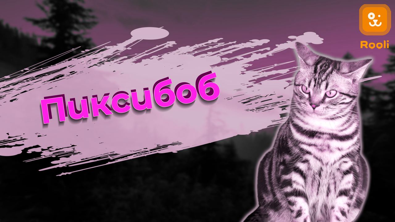 Характер Пикси-Боб кошек: Особенности и забавные черты