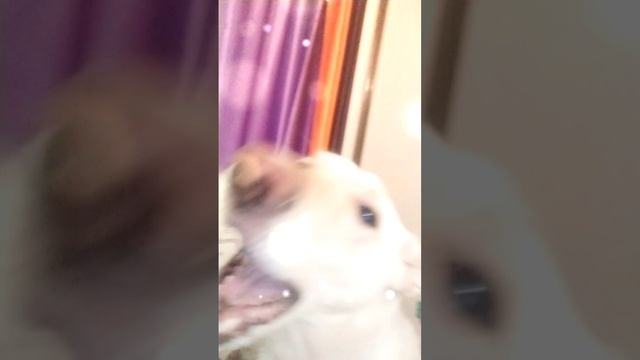 Вечер пятницы с лучшим другом ?