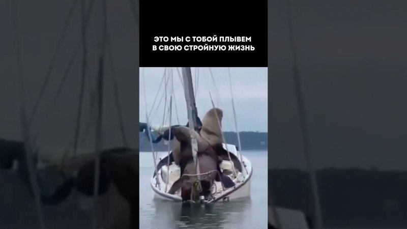 ДЕСЕРТЫ БЕЗ ВРЕДА ДЛЯ ФИГУРЫ Как? Читай в комментариях
