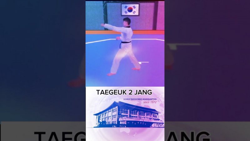 #Пхумсэ  2 #Taegeuk 2 jang #taekwondo #world #martialarts #marvik #боевое #training