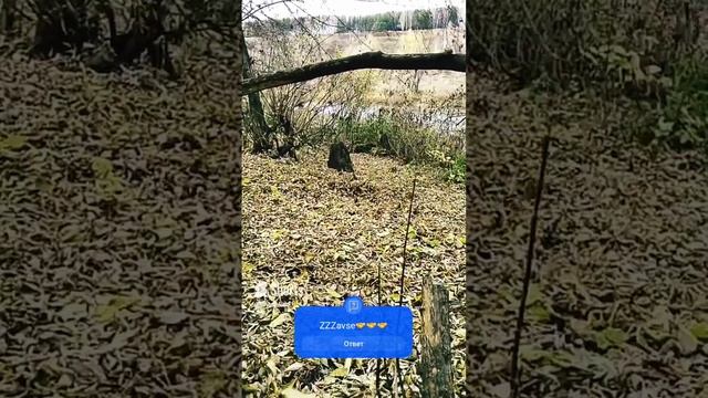 Вечерний Берег Дона