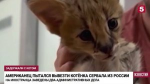 Телеканал «5 канал», «Известия», 09.11.2023