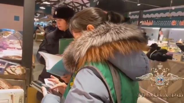 В Калининграде прошёл рейд по пресечению незаконной торговли морепродуктами