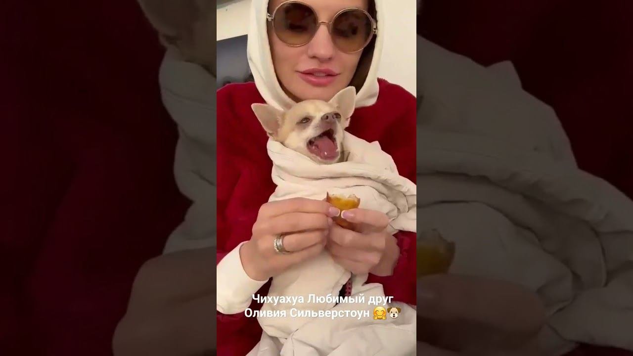 Любимый друг Оливия Сильверстоун