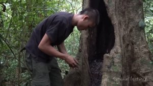 New journey - 2 years of survival in the rainforest - episode 1