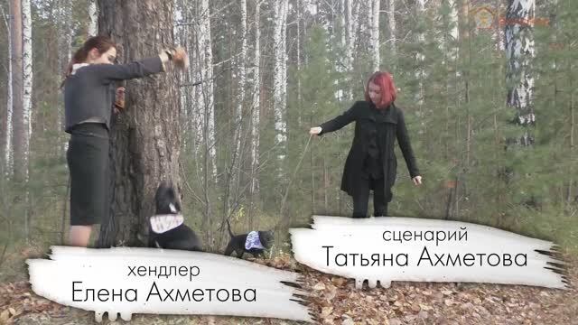 По мотивам сказки "Три поросенка". АН МегаМир, ЕКБ