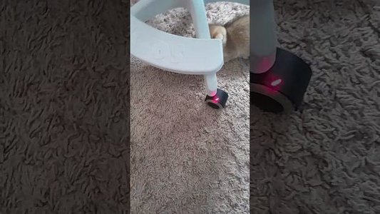 1000002135.mp4