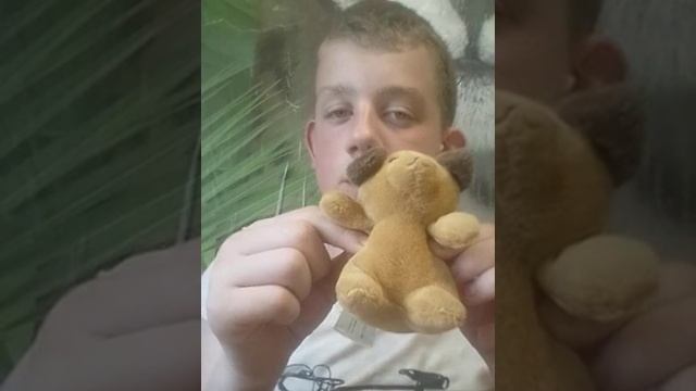 Я показываю игрушки мягкие