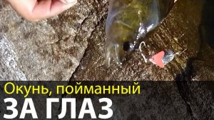 Окунь, пойманный за глаз | Беломорские приключения 2016 | Приключения на байдарке
