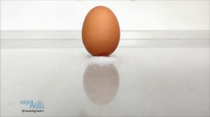КАК ПОСТАВИТЬ ЯЙЦО ВЕРТИКАЛЬНО?