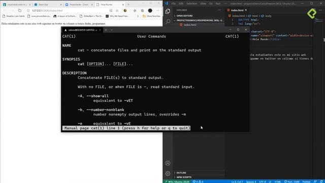 Comandos básicos de la terminal e instalación de Node js – смотреть ...
