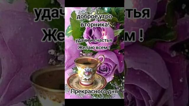 088fe7cc-1249-4622-ac08-51c901ce95ef-1_all_12541.mp4