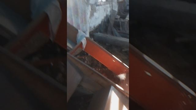 Что мы нашли в заброшки