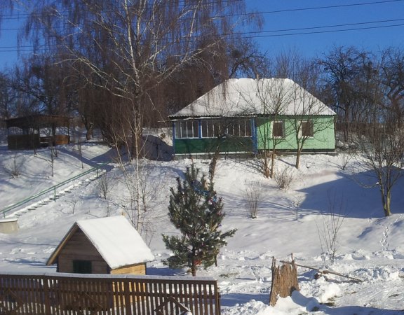 Дом «зелёный» зимой. База отдыха «Паскивка».