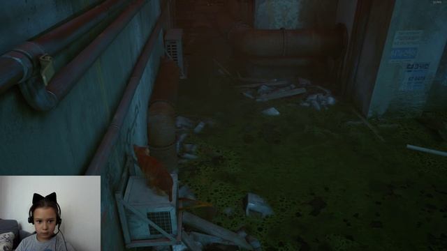 Крутой симулятор кота Stray