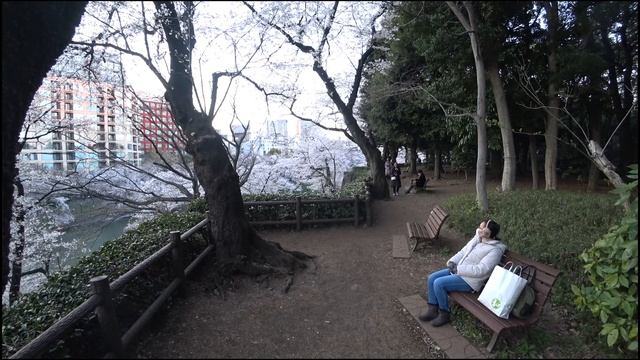 Прогулка по Токио